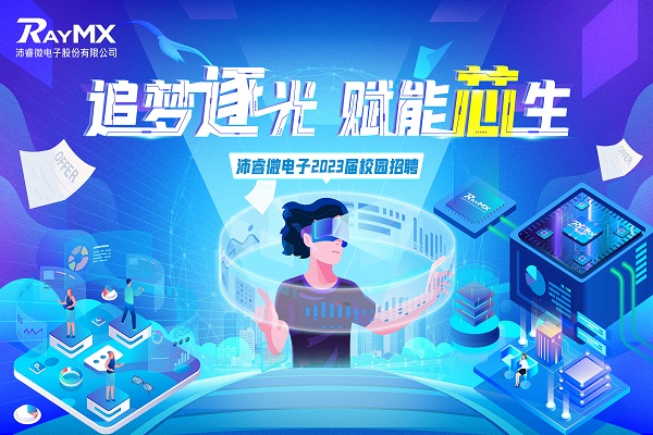 合肥沛睿微电子股份有限公司